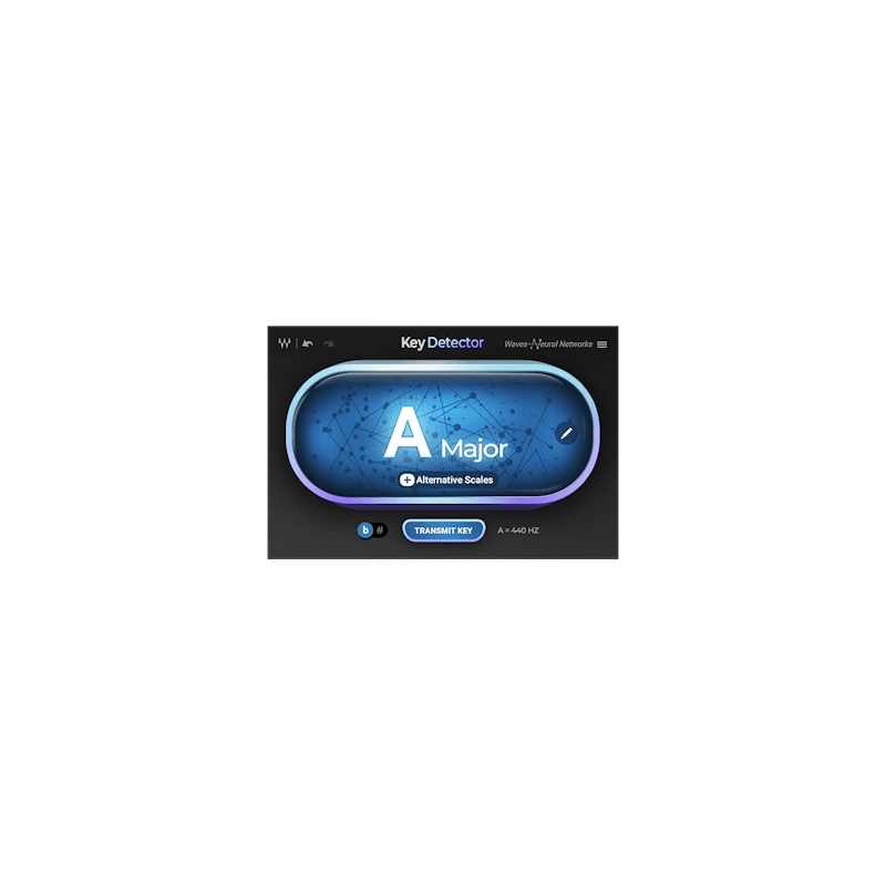 Waves Key Detector - MeinMic - Professional Audio Shop & Service, € 33,60